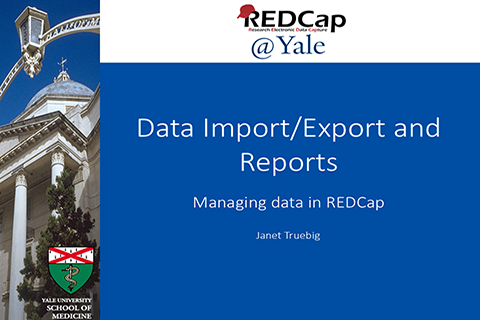 Import/Export & Reports | REDCap